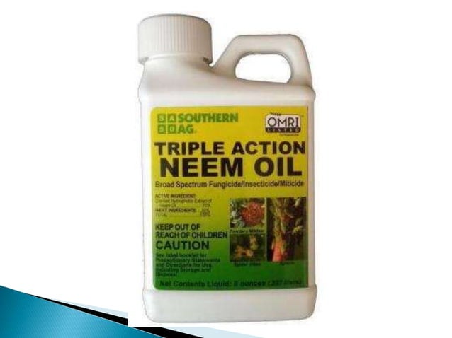 Botanical insecticides | PPTX