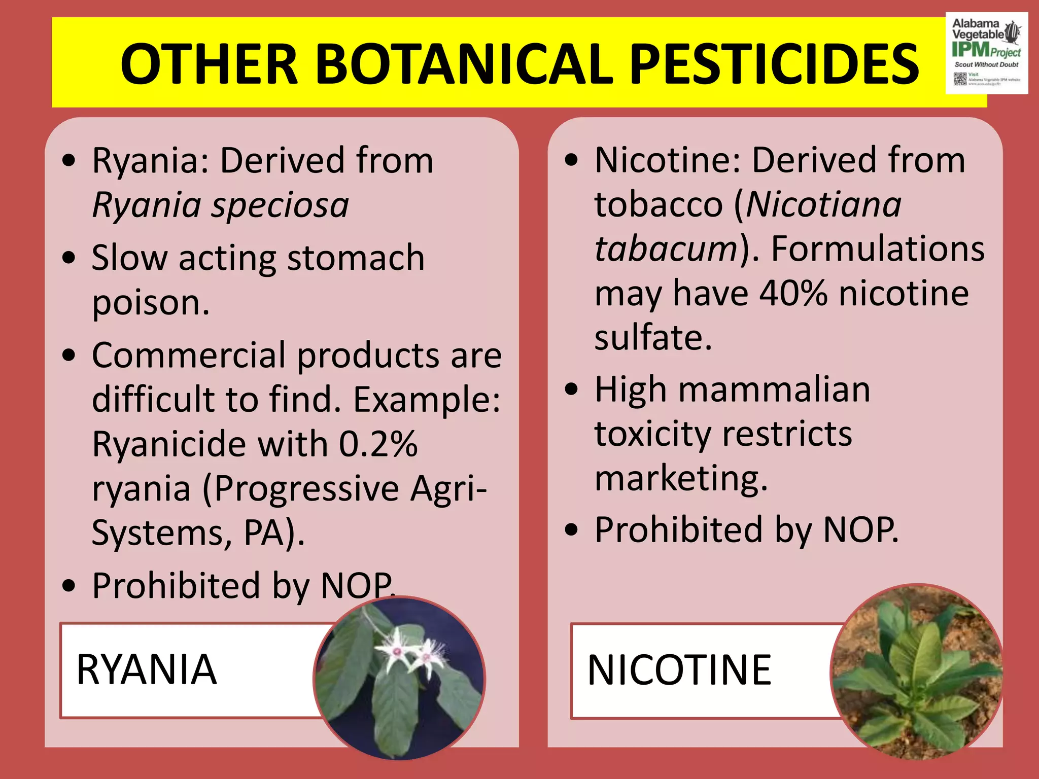 Botanical Insecticides (version 2013) | PPT