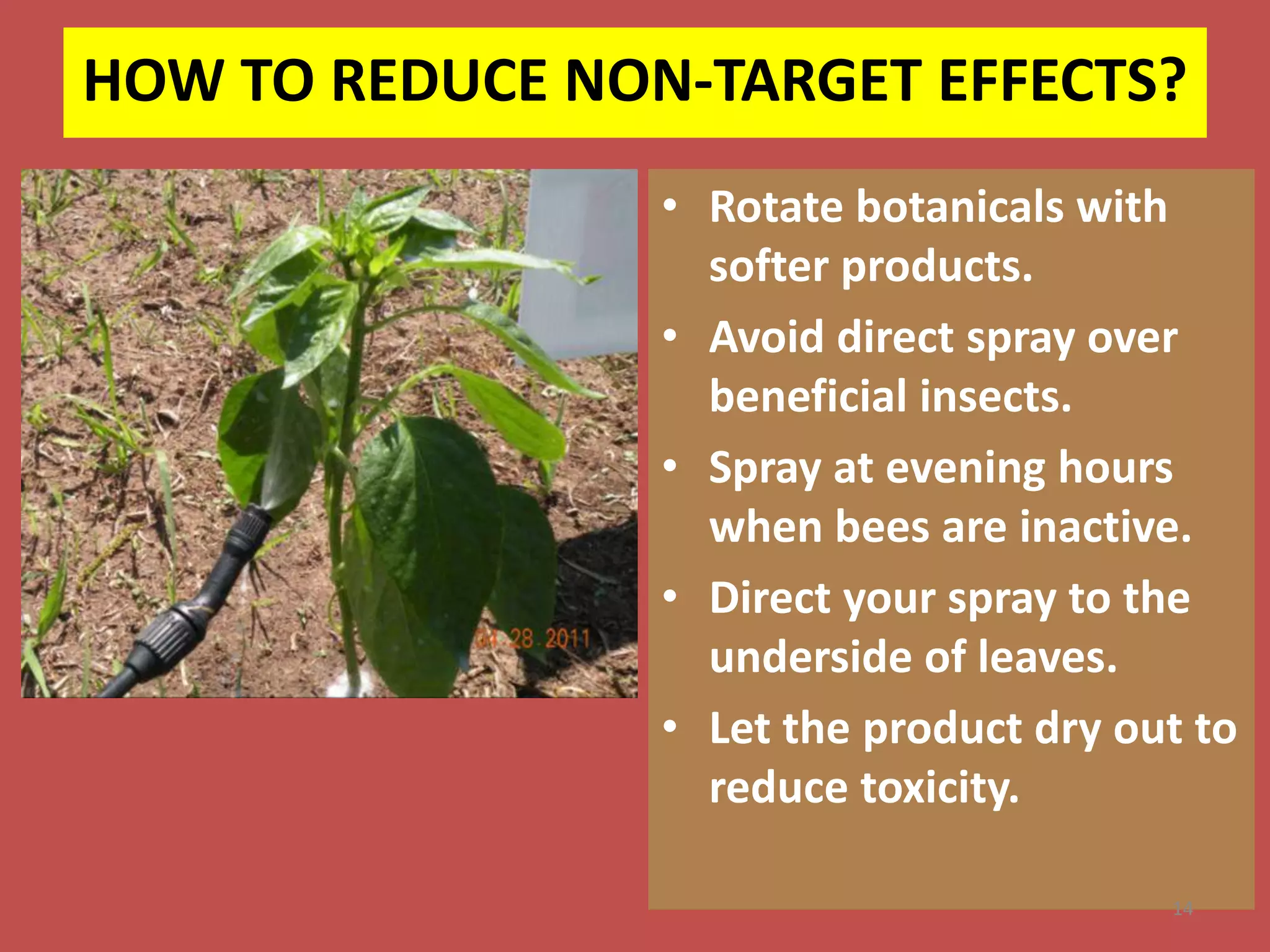 Botanical Insecticides (version 2013) | PPT