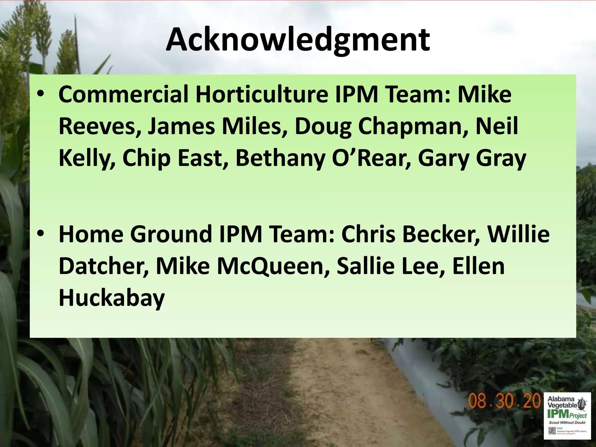 Botanical Insecticides (version 2013) | PPT