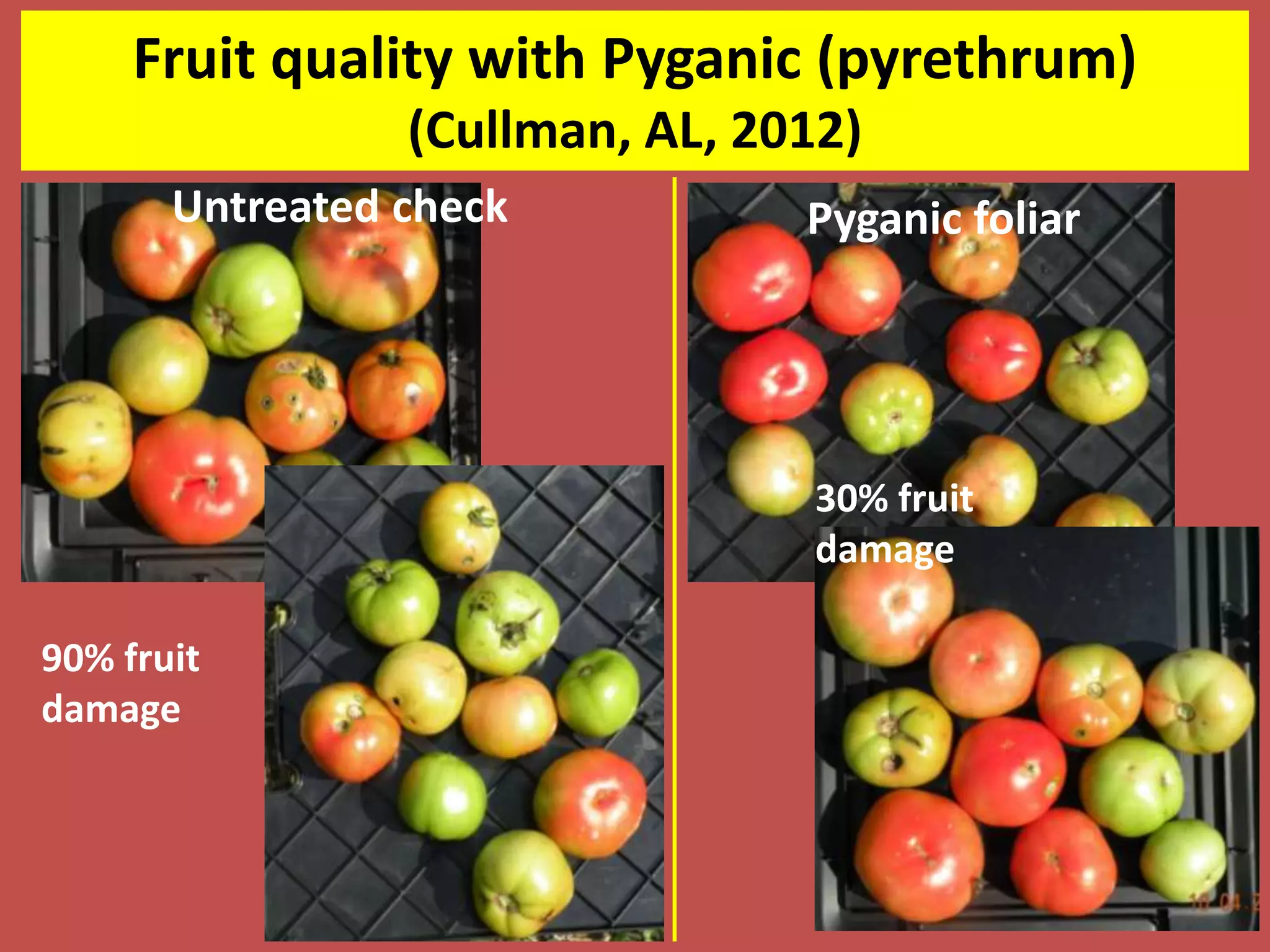 Botanical Insecticides (version 2013) | PPT