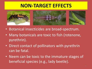 Botanical Insecticides (version 2013) | PPT
