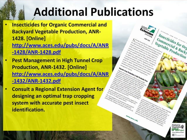 Botanical Insecticides (version 2013) | PPT