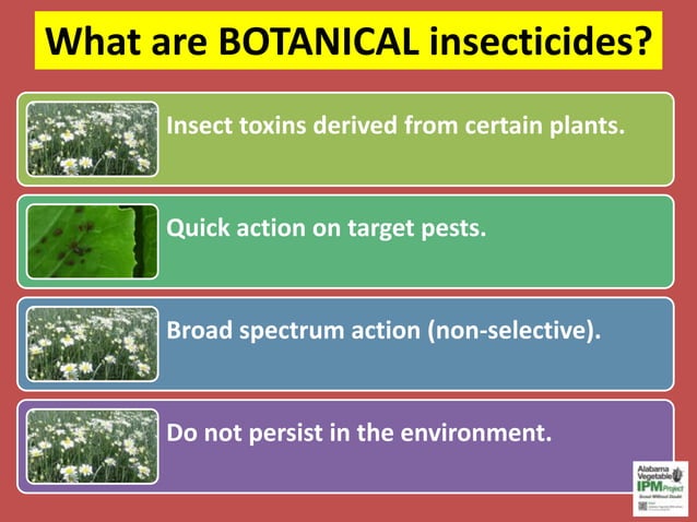 Botanical Insecticides (version 2013) | PPT