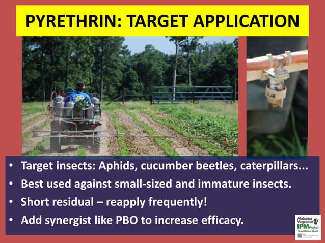 Botanical Insecticides (version 2013) | PPT