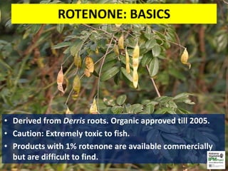 Botanical Insecticides (version 2013) | PPT