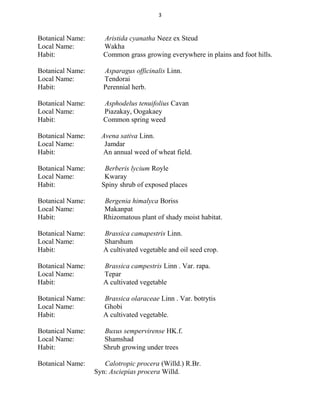 Botanical name of Different Trees | PDF