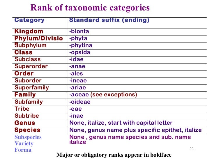 Botanical nomenclature