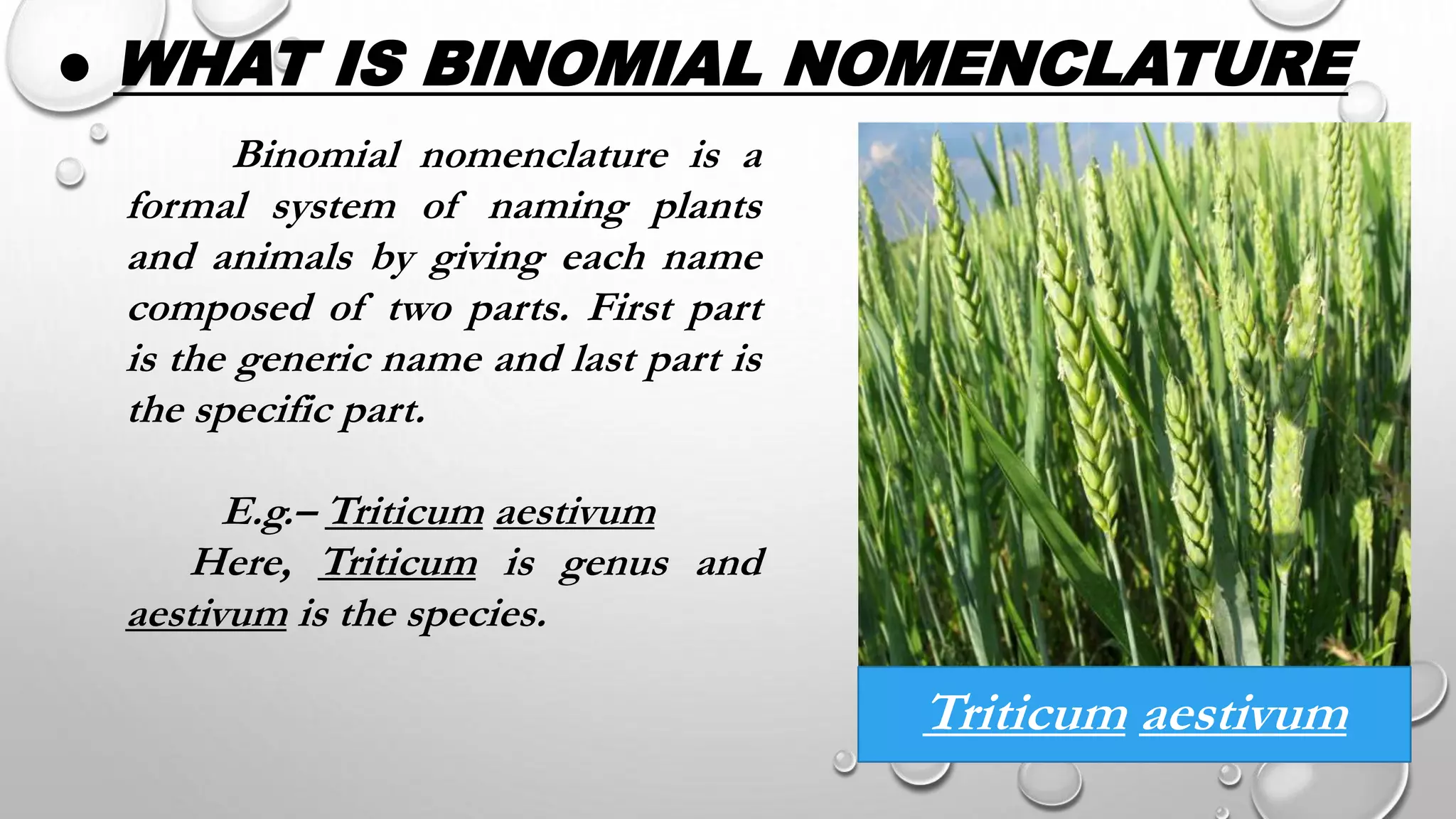 Botanical nomenclature | PPTX