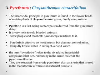 BotanicalsPesticides | PPTX