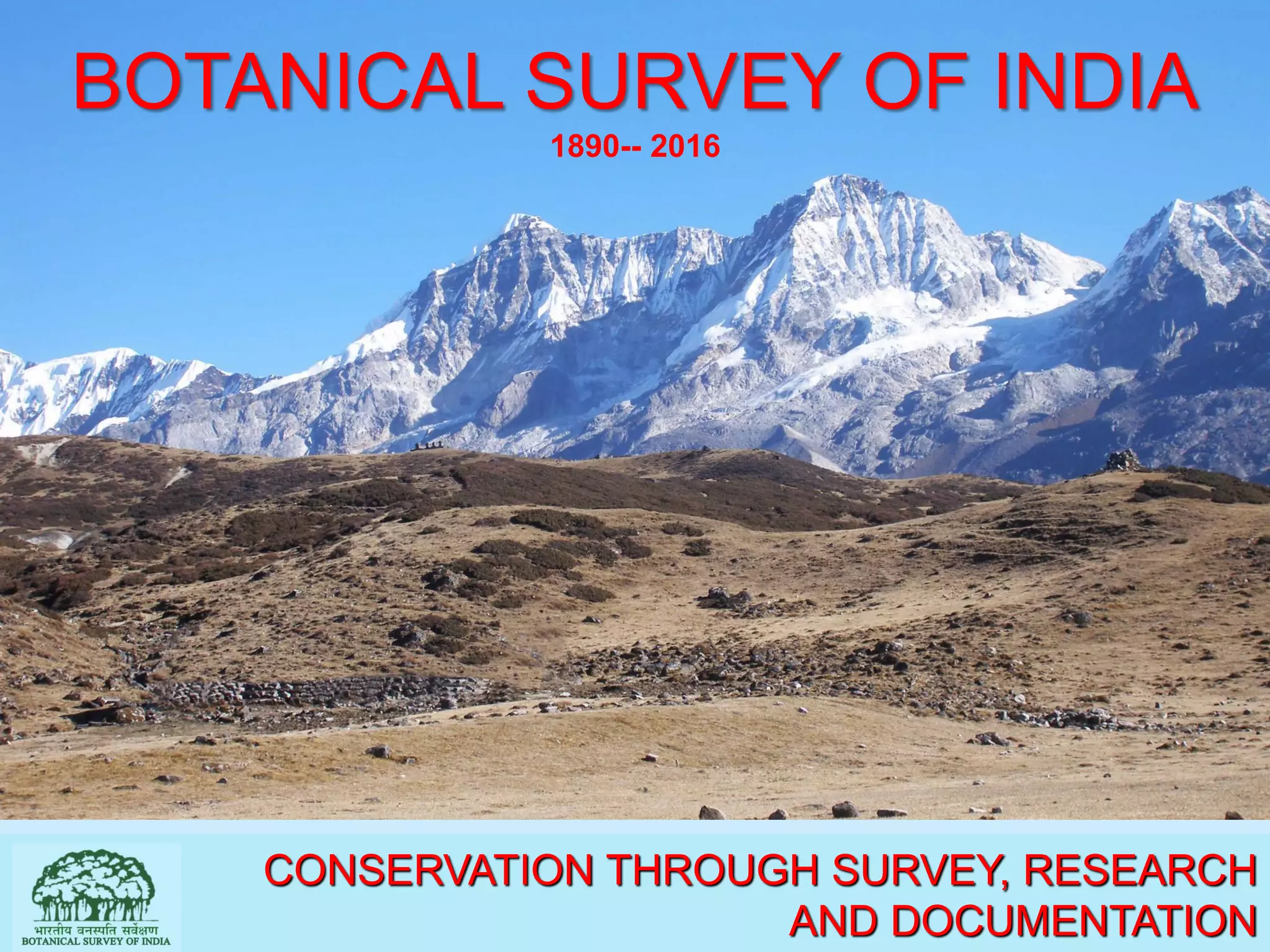 Botanical survey of india | PDF