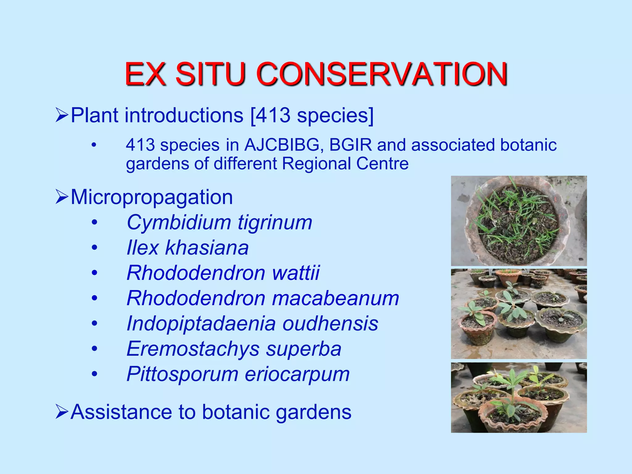 Botanical survey of india | PDF