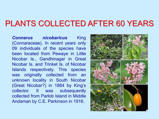 Botanical survey of india | PPT