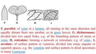 Botanical Terminologies.pptx