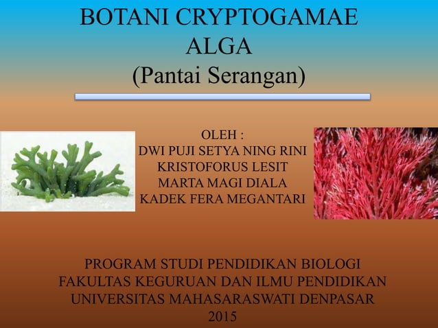 Botani cryptogamae | PPTX