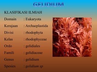 Botani cryptogamae | PPTX