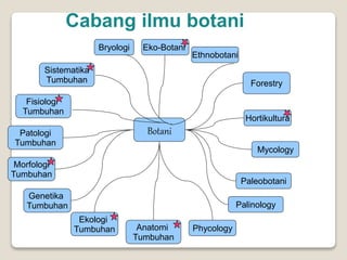 Botani farmasi (1 dan 2) | PPTX