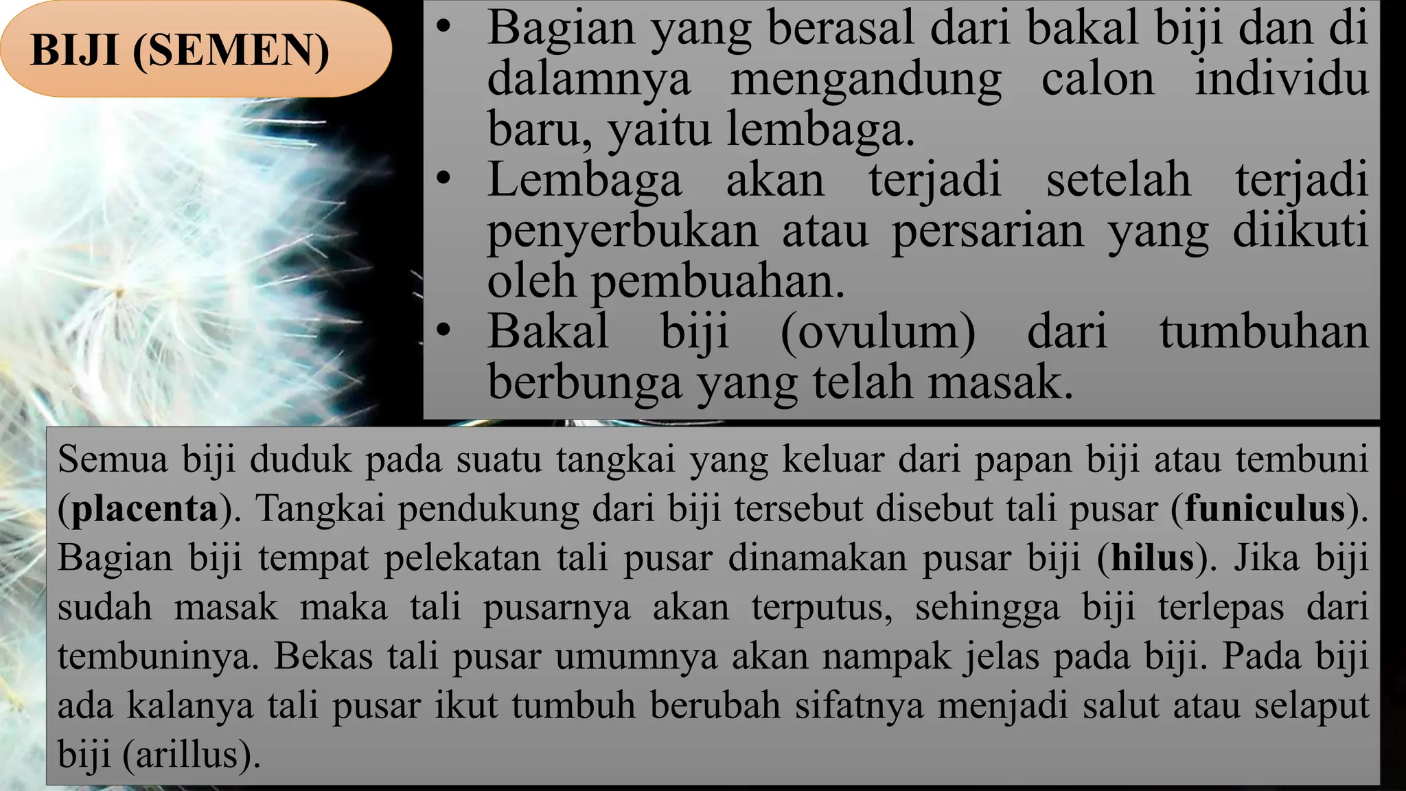 INJAUAN MORFOLOGI & ANATOMI TUMBUHAN OBAT BERDASARKAN ORGAN GENERATIF ...