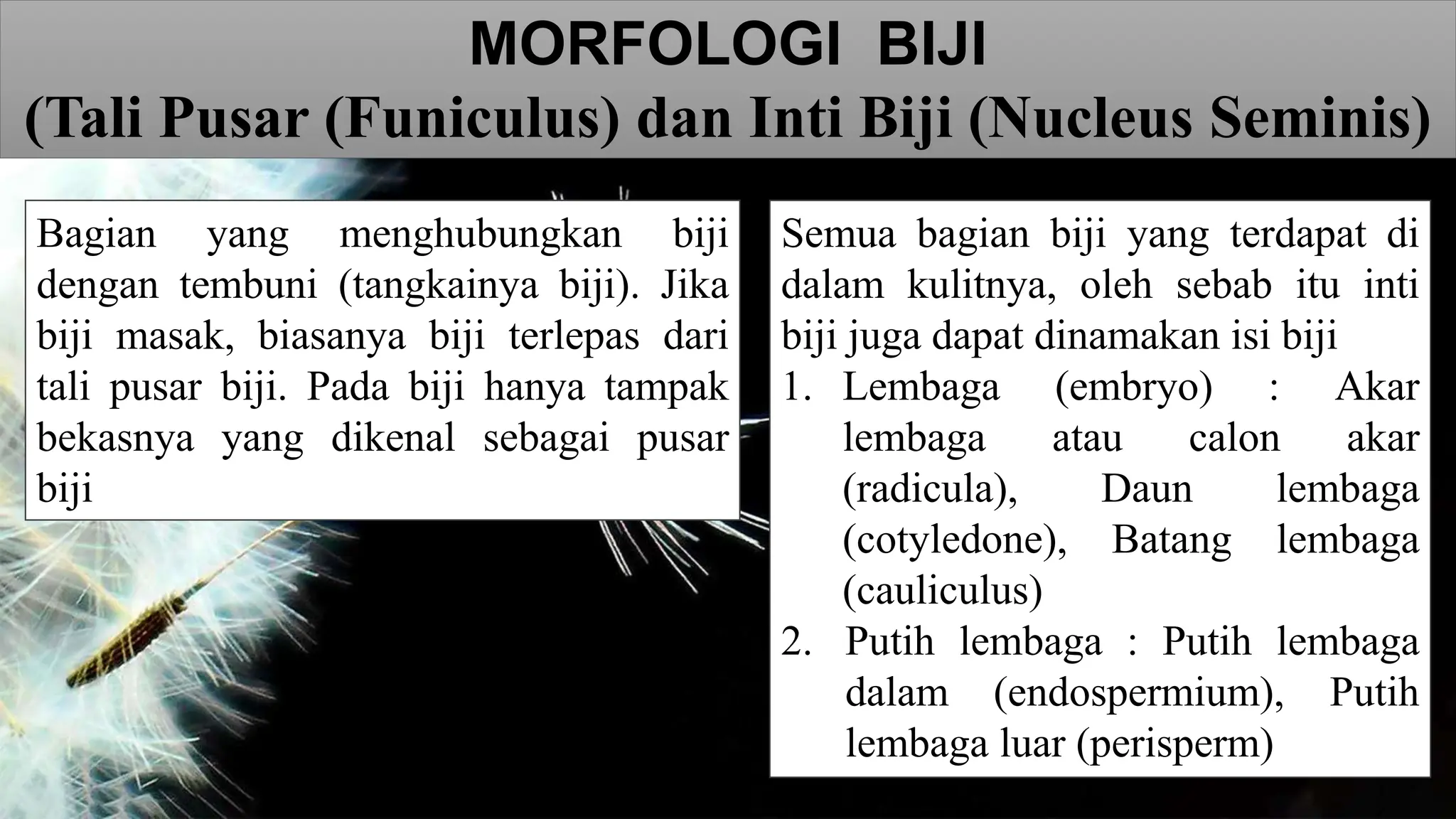 INJAUAN MORFOLOGI & ANATOMI TUMBUHAN OBAT BERDASARKAN ORGAN GENERATIF ...