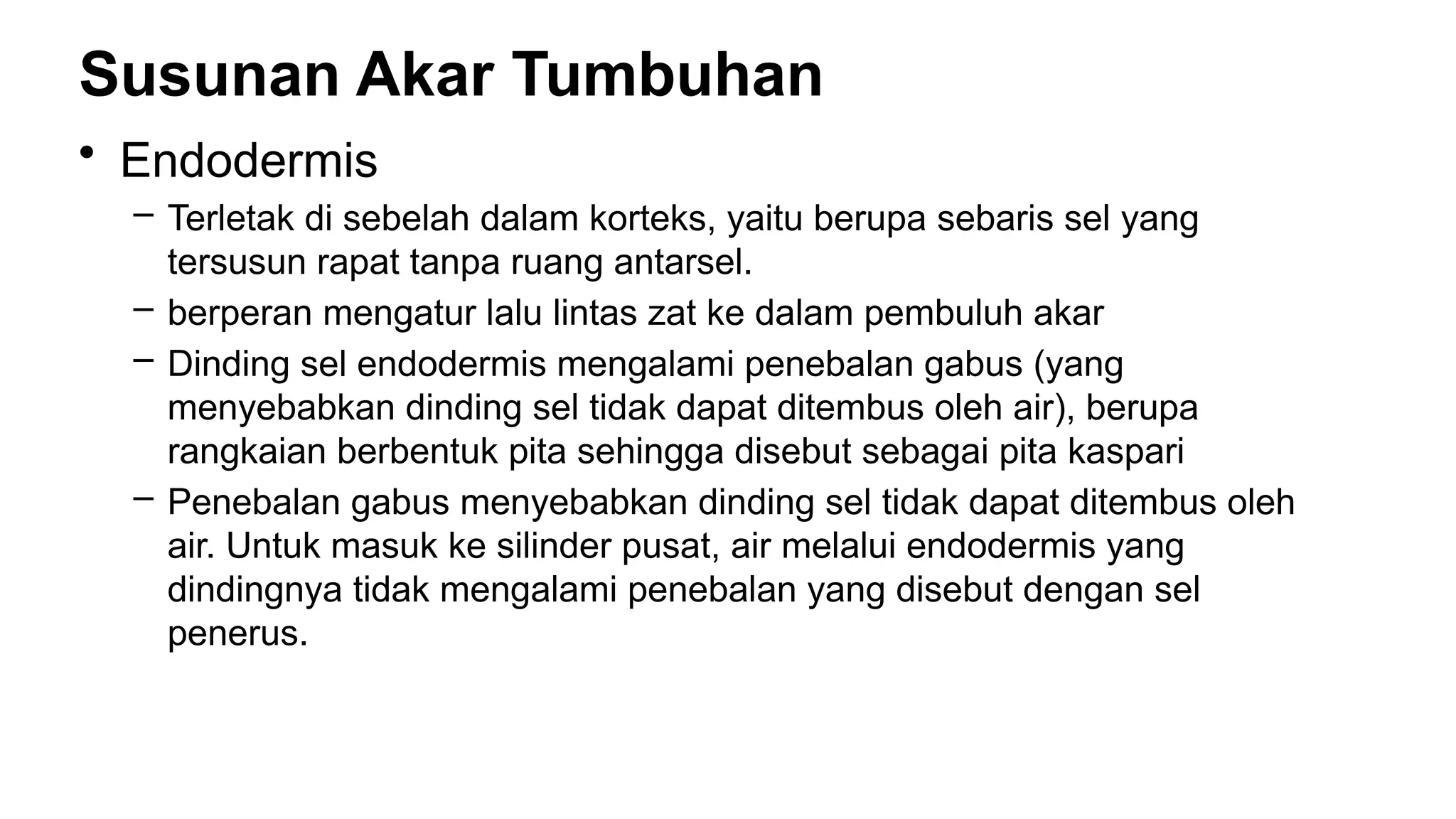 Botani_ ANATOMI ORGAN TUMBUHAN _Akar.pptx