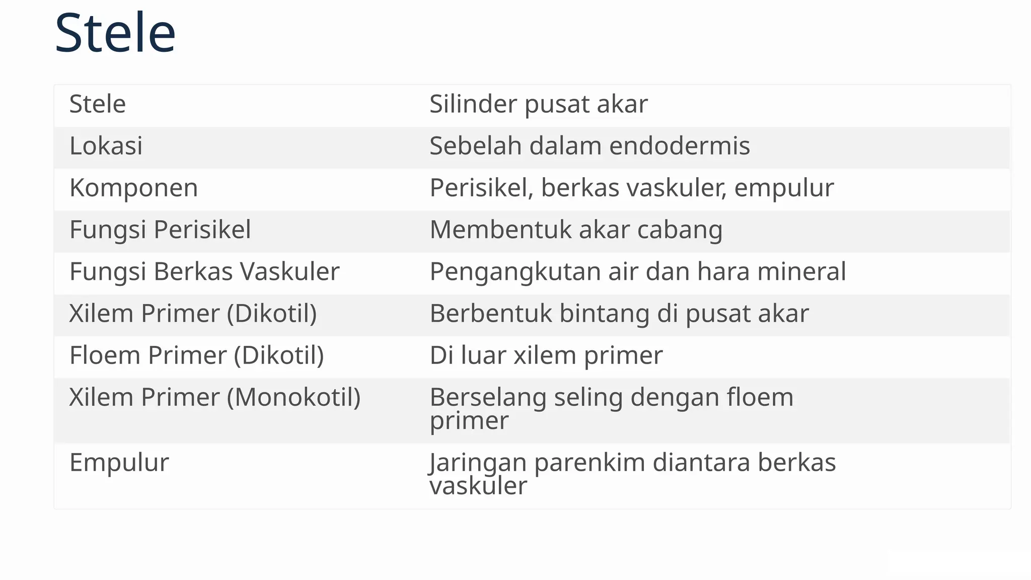 Botani_ ANATOMI ORGAN TUMBUHAN _Akar.pptx