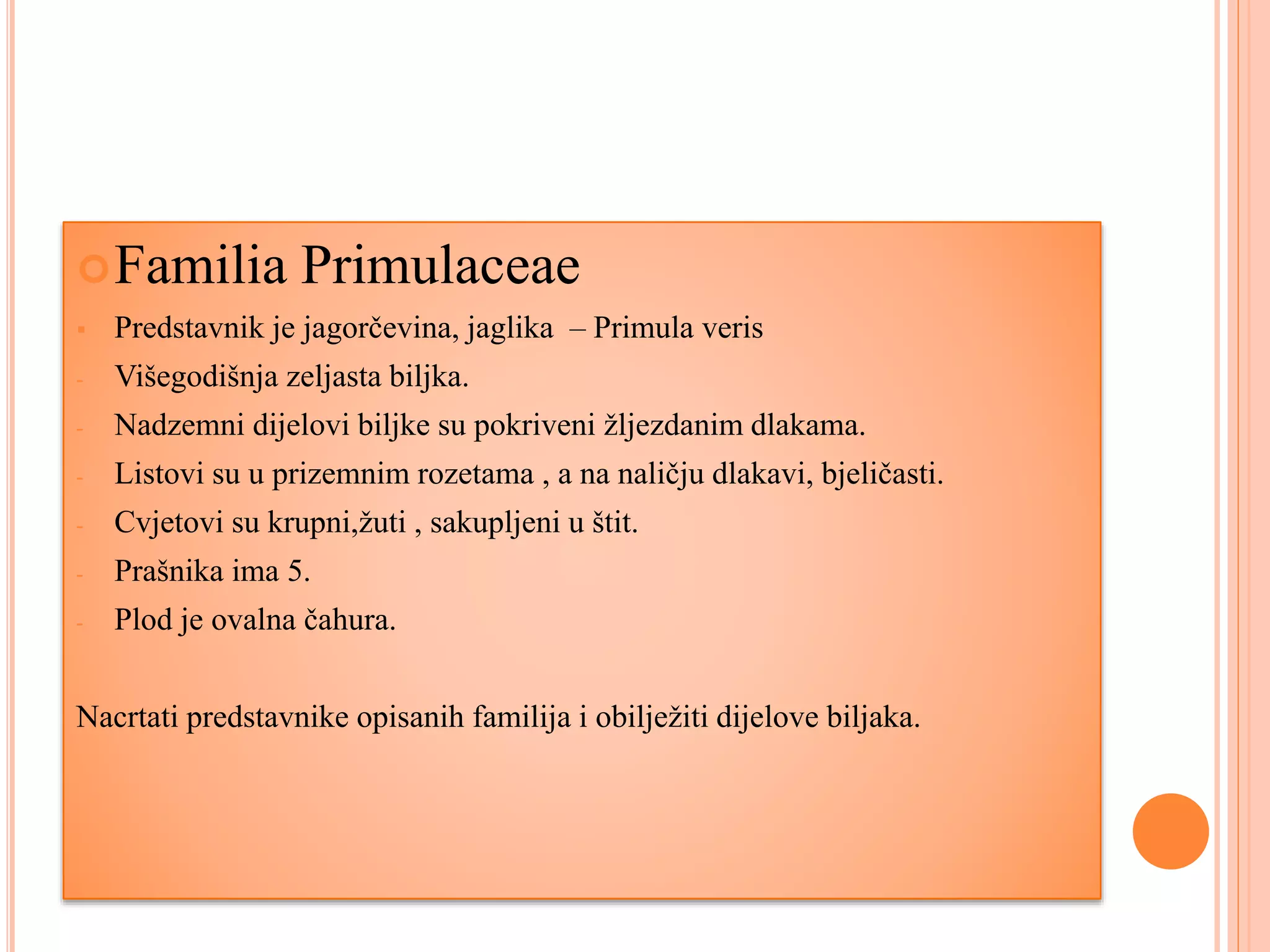 Familia Brassicaeae ili Cruciferae- krstašice | PPTX