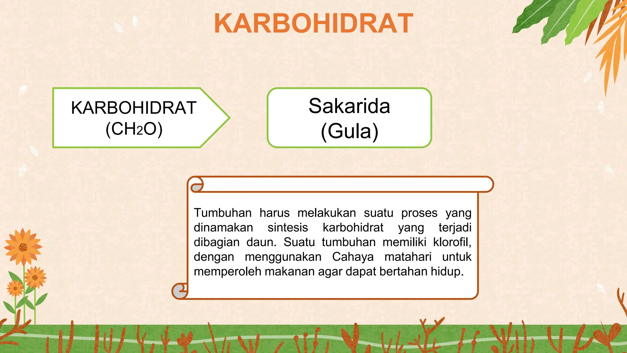 METABOLISME KARBOHIDRAT TUMBUHAN| 1I | Dosen: Yayuk Putri Rahayu, S.Si ...