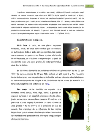 Protocolo Germinación Phaseolus vulgaris y vicia faba bajo gradientes ...