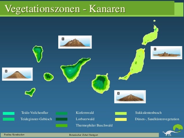 Botanische Wanderungen auf Makaronesien - Botanical hiking in Macaron…