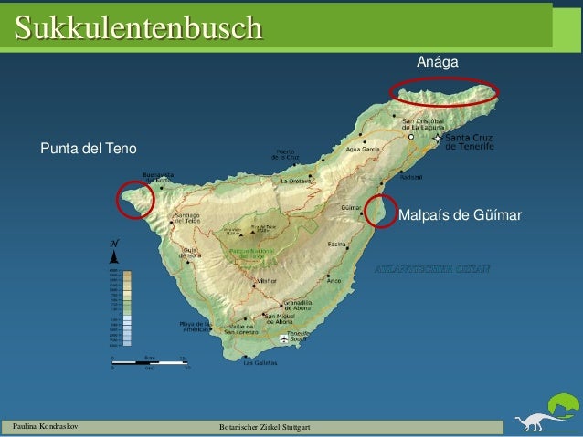 Botanische Wanderungen auf Makaronesien - Botanical hiking in Macaron…