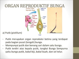 Botani uas pertemuan ke 1 (bunga) | PDF