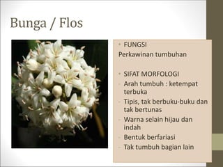 Botani uas pertemuan ke 1 (bunga) | PDF