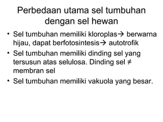 Botani umum | PPT