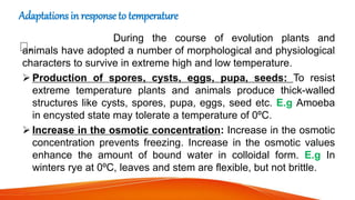 BOTANT PRESENTATION ON TEMPERATURE.pptx