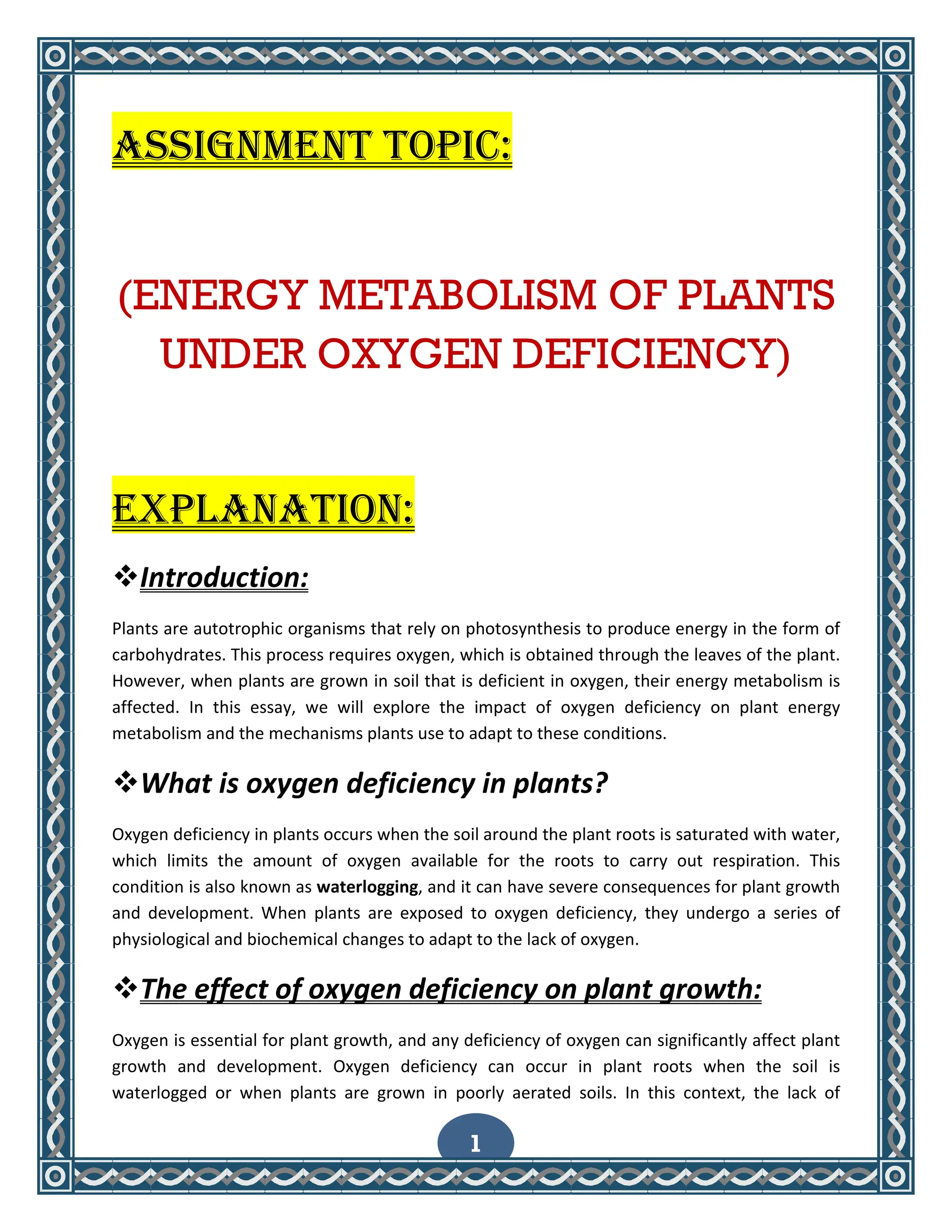 Energy metabolism of plants under oxygen deficiency | PDF | Lung and ...