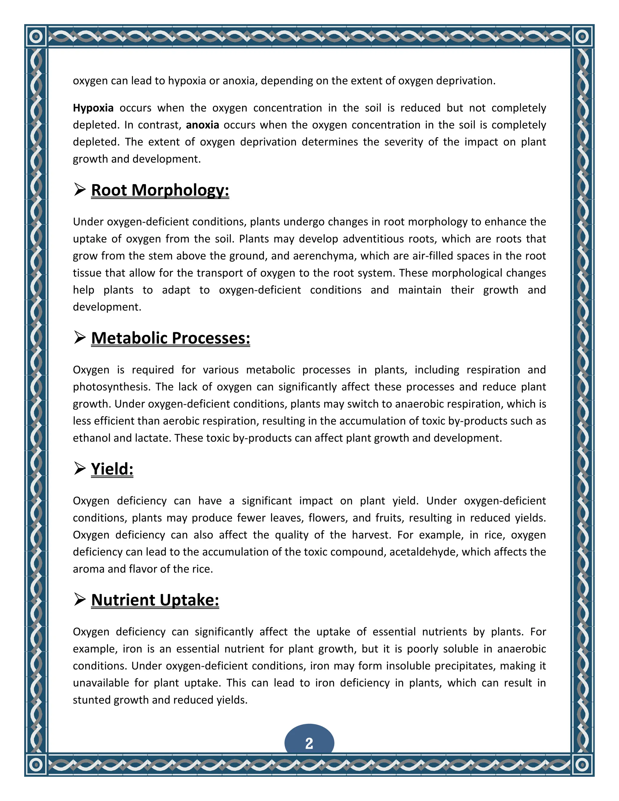 Energy metabolism of plants under oxygen deficiency | PDF