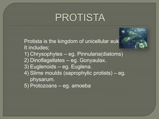 Botany - study of plants ppt | PPTX