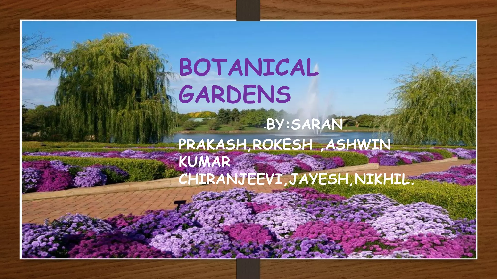 BOTANY.pdf