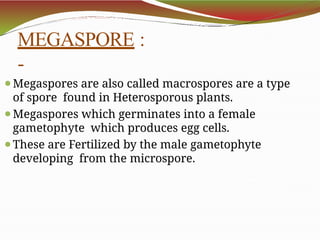 Megasporogenesis botany biology organs ppt | PPT