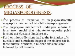 Megasporogenesis botany biology organs ppt | PPT