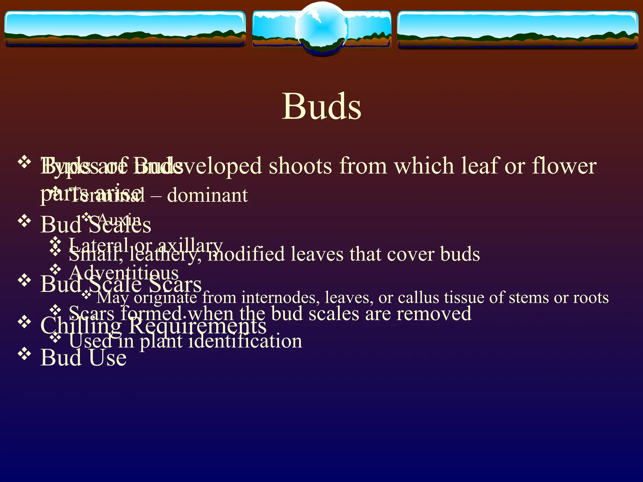 basic botany for 5th class and above student | PPT | Free Download