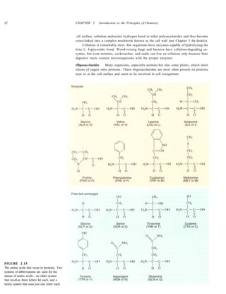 Botany-An-Introduction-to-Plant-Biology-by-James-D.-Mauseth.pdf