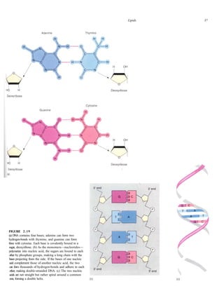 Botany-An-Introduction-to-Plant-Biology-by-James-D.-Mauseth.pdf