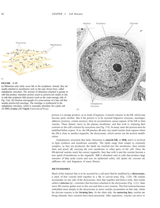 Botany-An-Introduction-to-Plant-Biology-by-James-D.-Mauseth.pdf