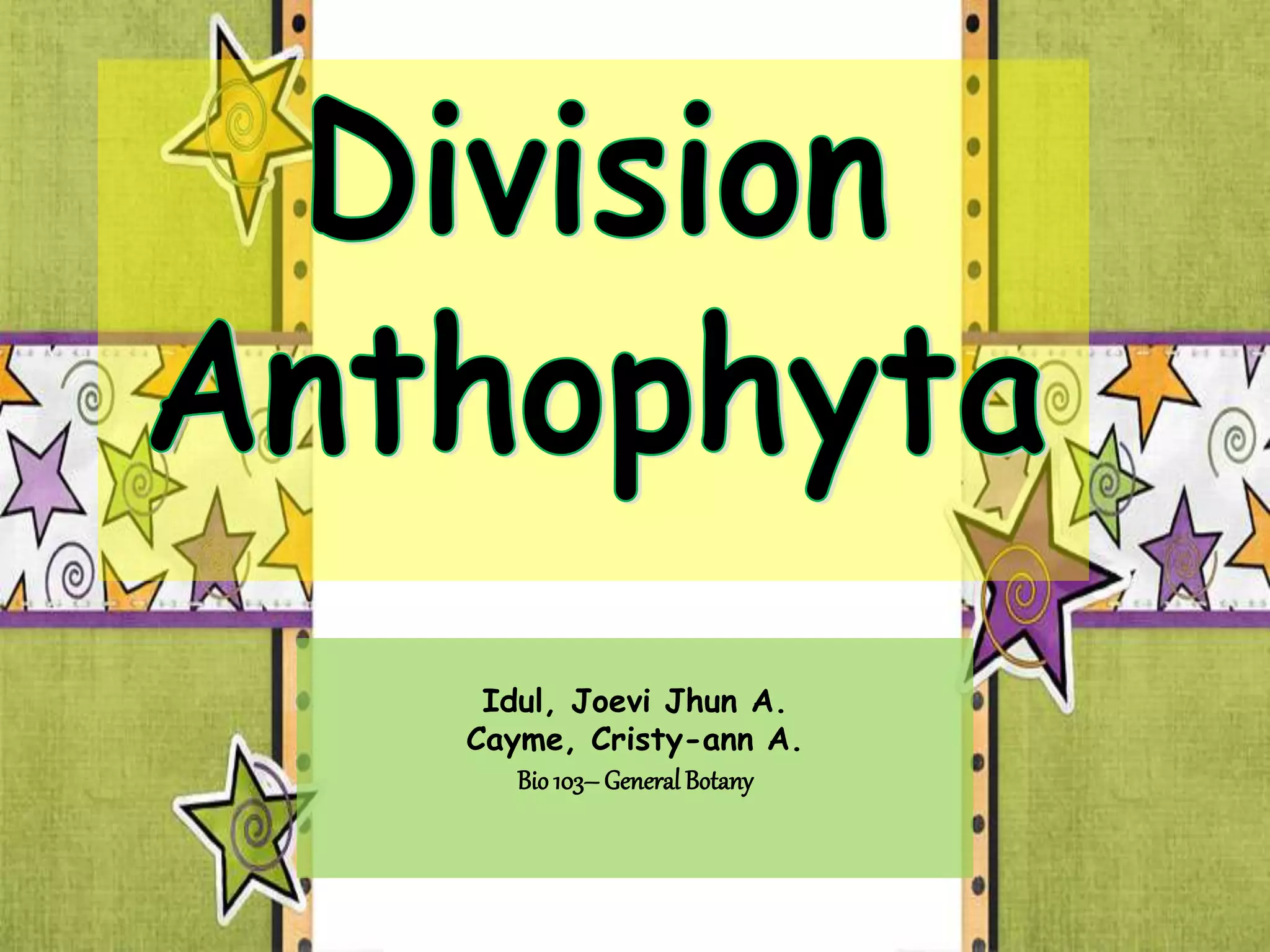 Plant Kingdom- Division Anthophyta | PPTX