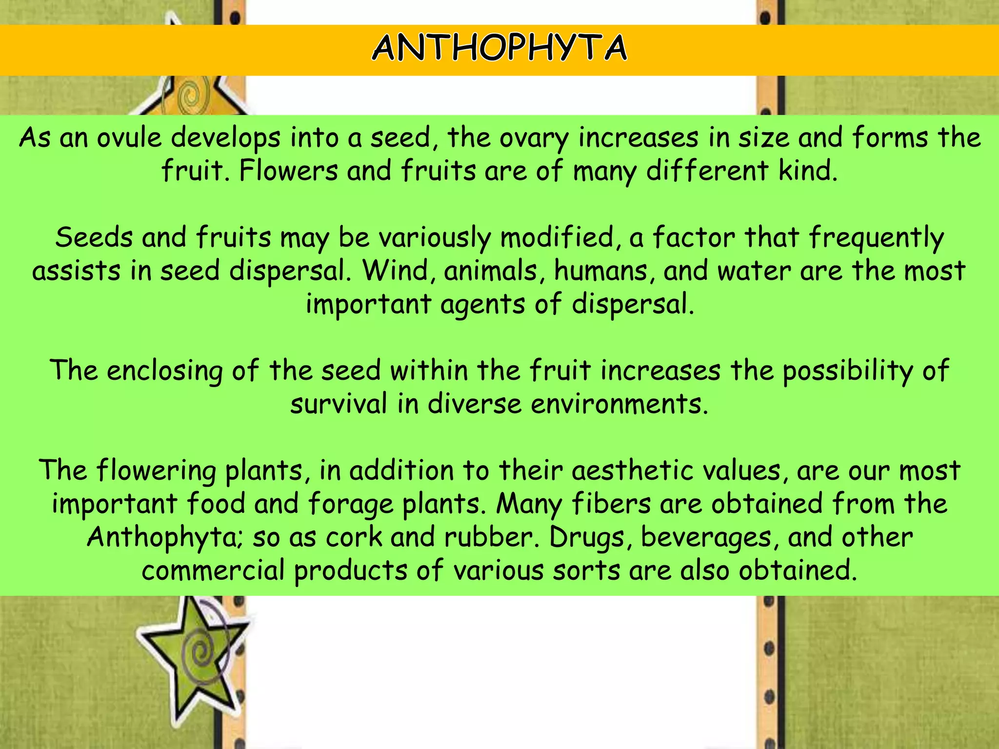 Plant Kingdom- Division Anthophyta | PPTX