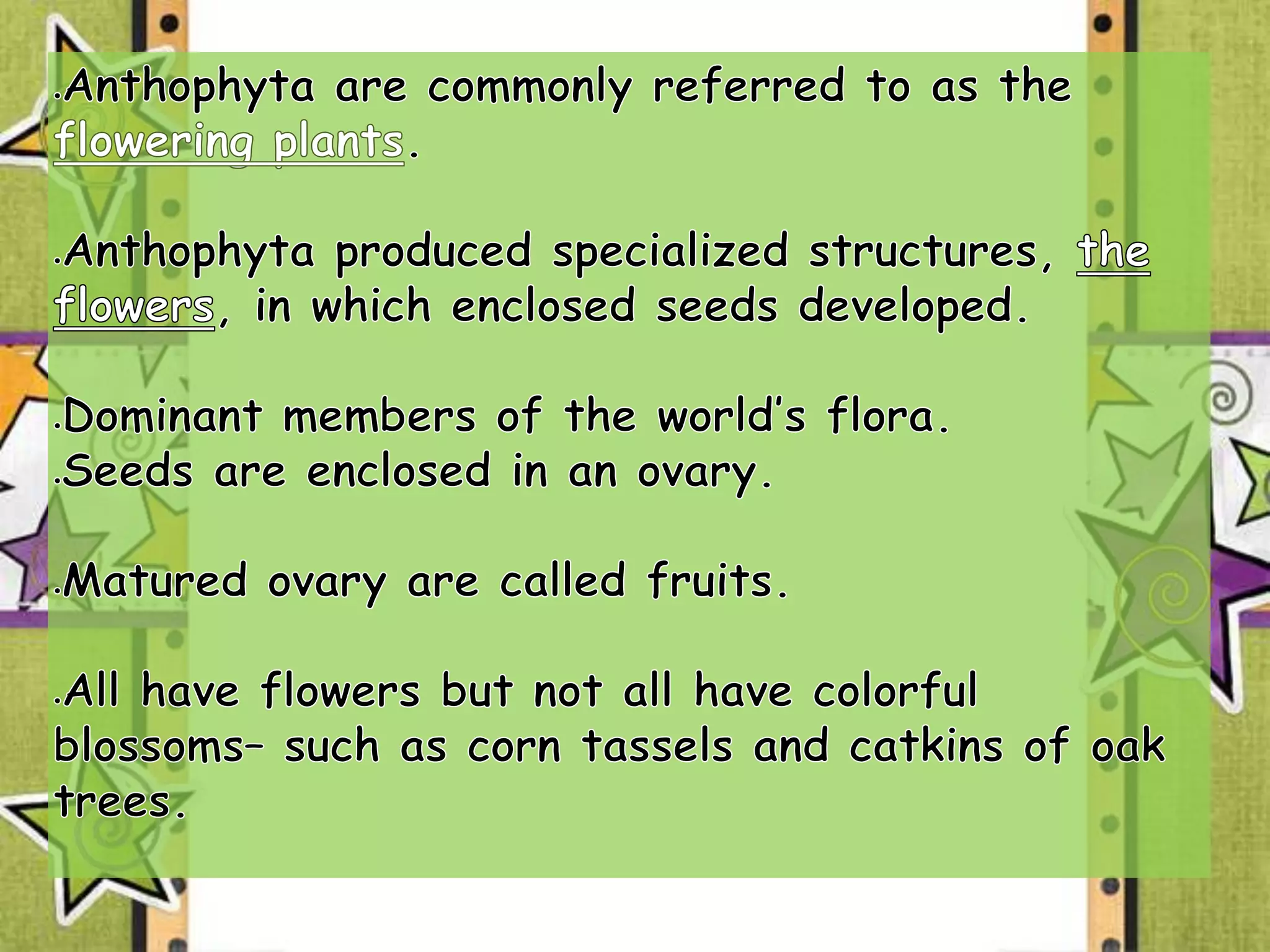 Plant Kingdom- Division Anthophyta | PPTX