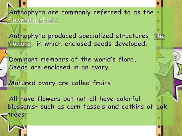 Plant Kingdom- Division Anthophyta | PPTX