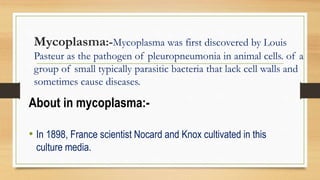Botany- mycoplasma.pptx