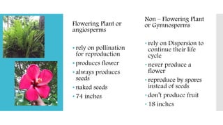 Botany presentation | PPTX